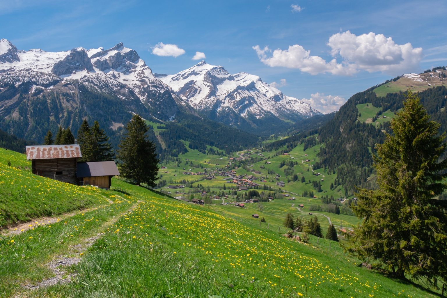 One Day in the Swiss Alps - What to Do and Where to Go - SENYORITA.NET